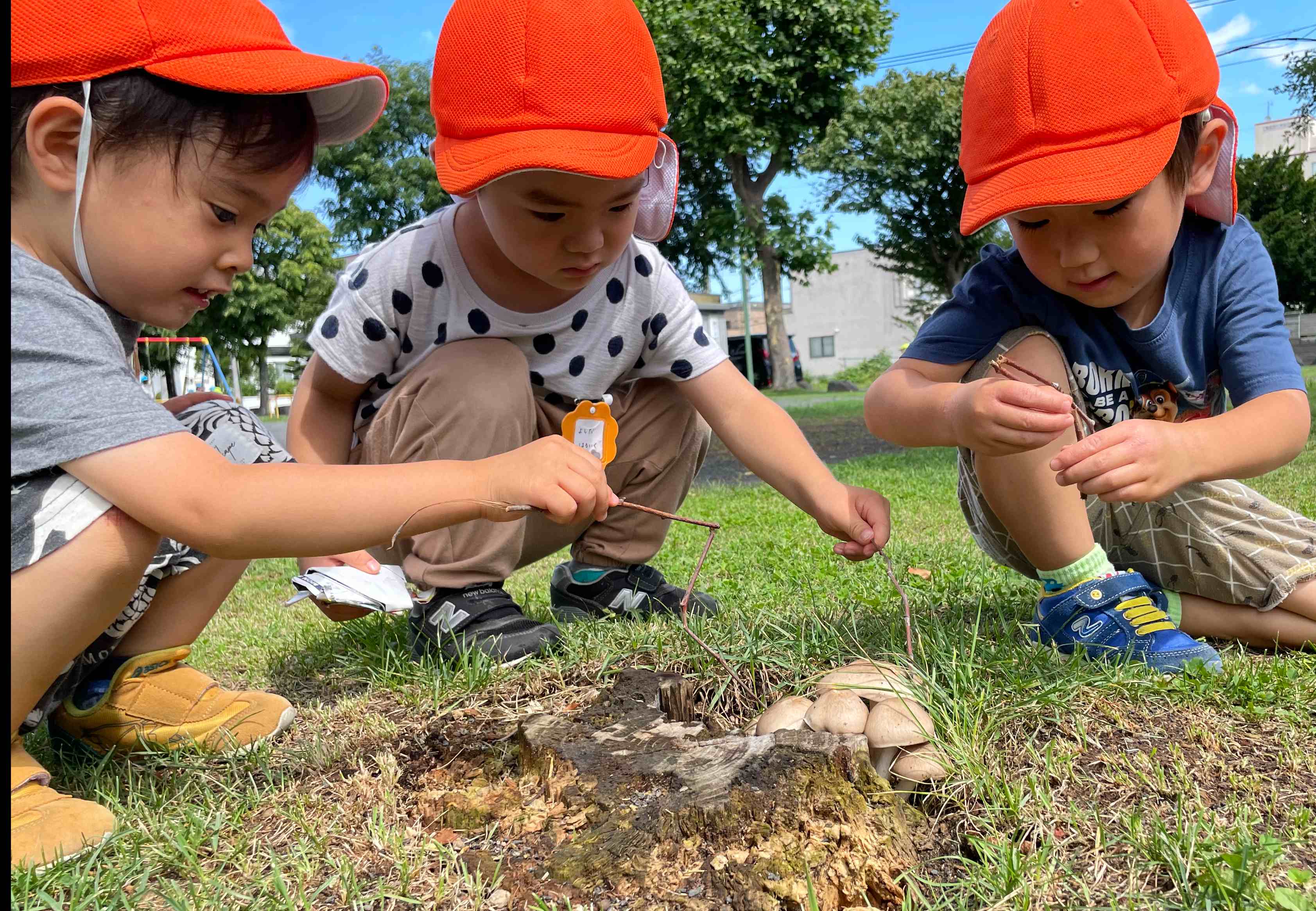 北海道札幌市西区の保育園･認定こども園･保育所2件｜畑あり｜保育園の見学予約ならホイシル