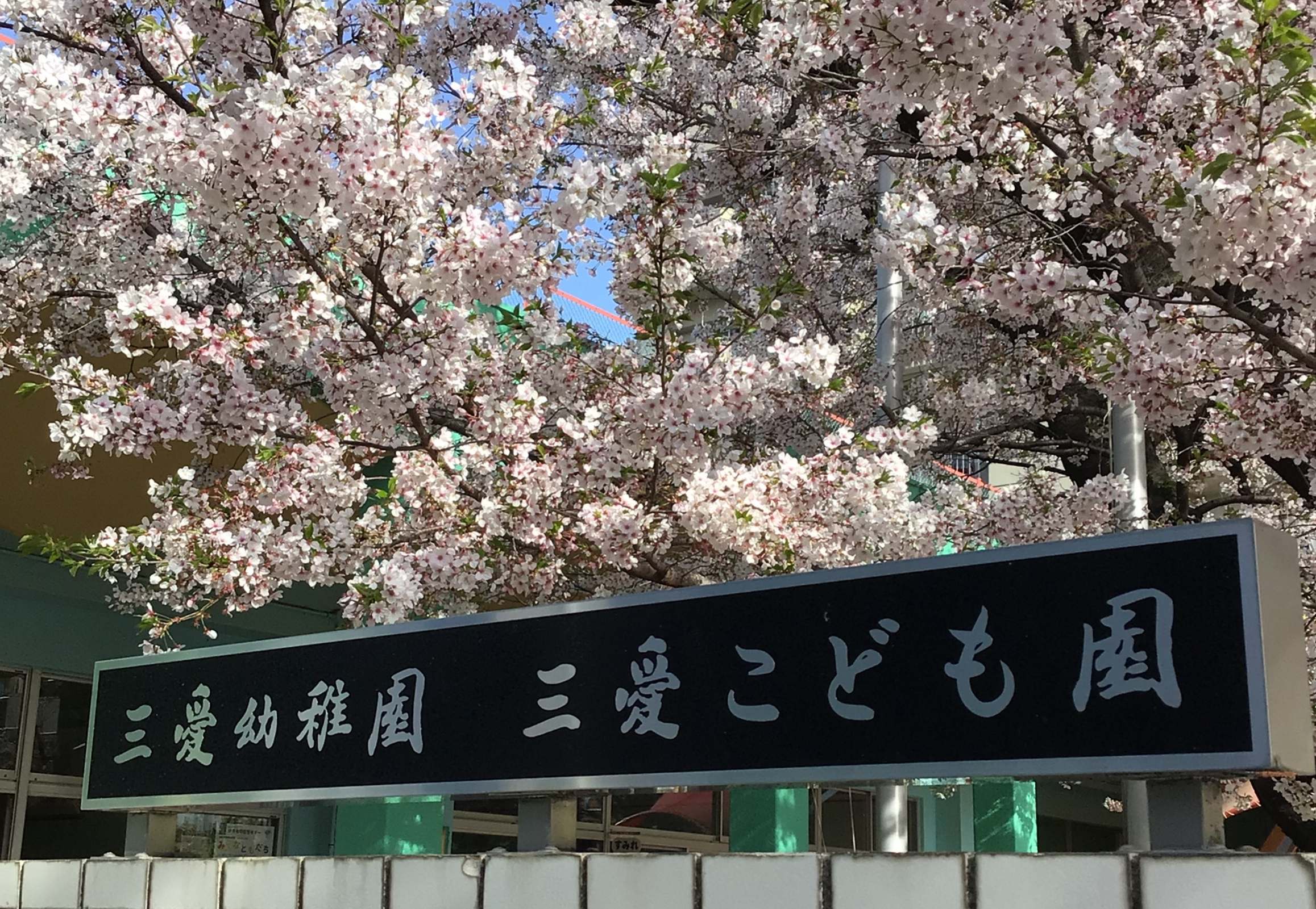 大阪府大阪市の保育園･認定こども園･保育所248件｜定員100名以上｜保育園の見学予約ならホイシル